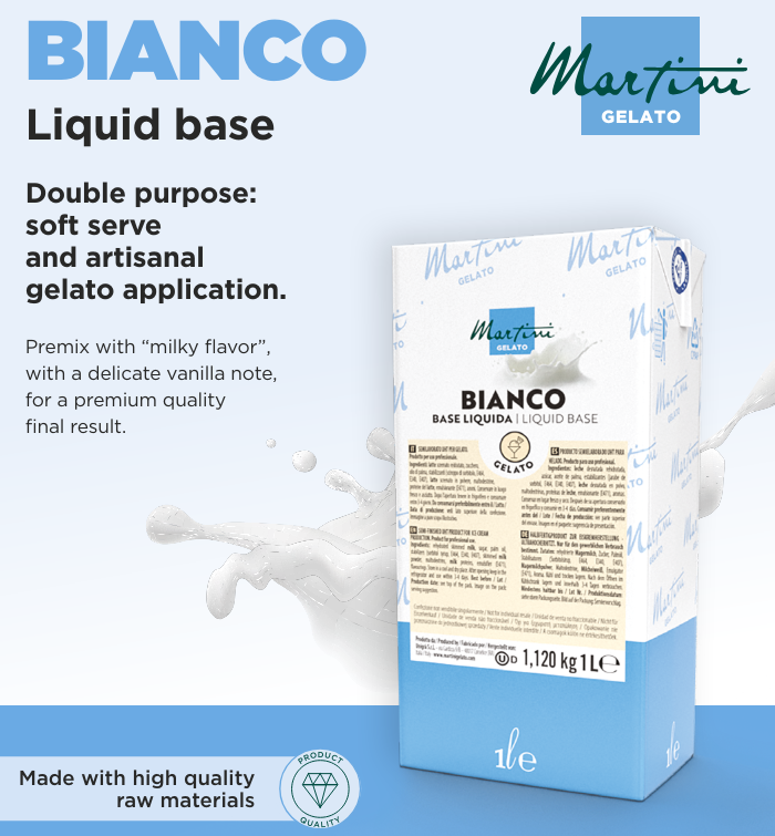 MASTER MARTINI PREMIUM VANILLA - Soft Serve and Gelato Mix - 12 x 1L T ...
